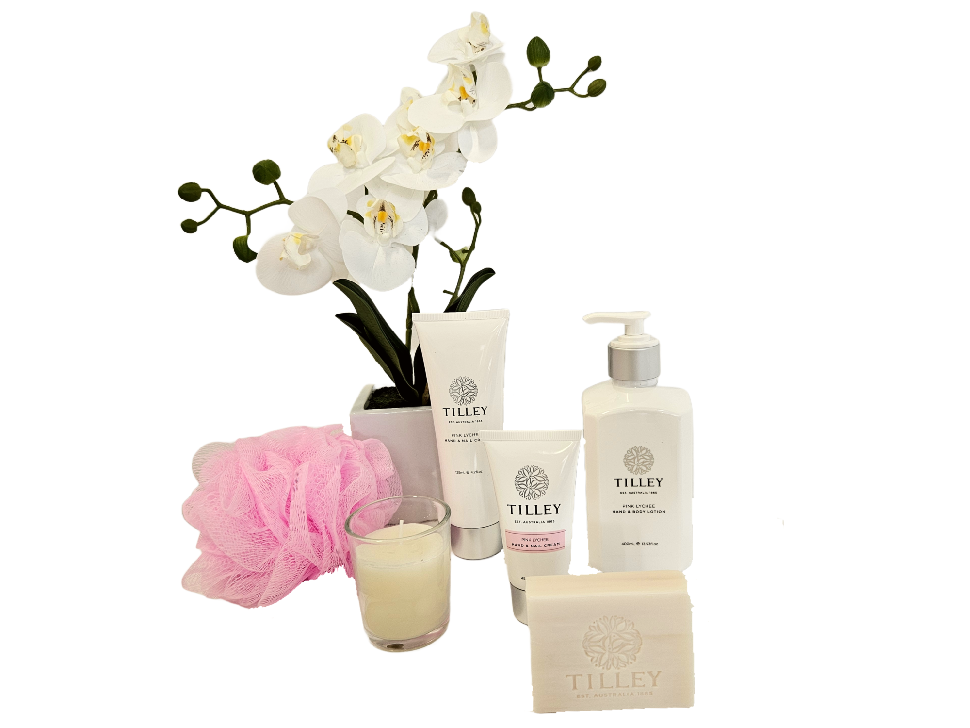 Indulge with Tilley - Platinum Showcase Promotions